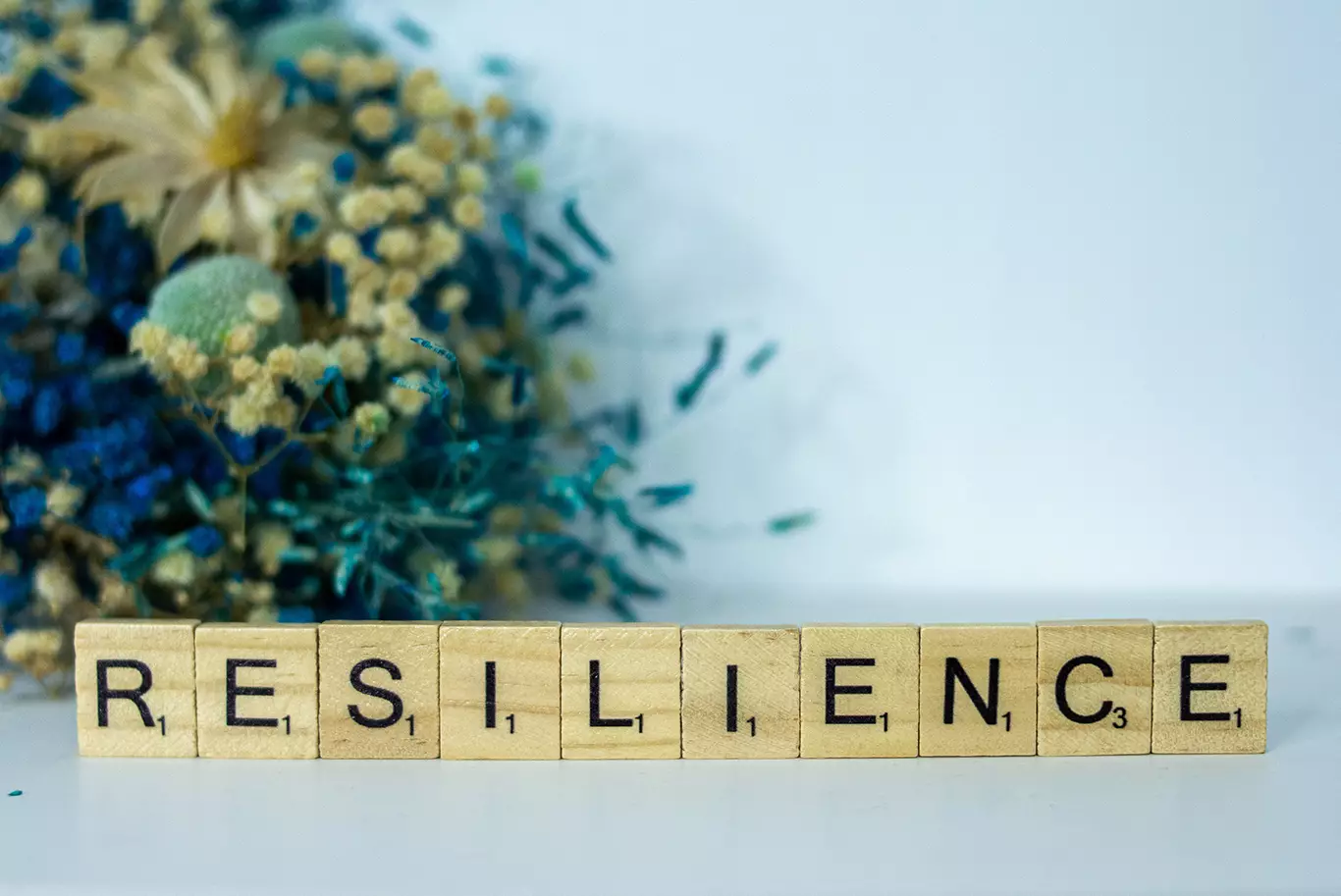 Personal Resilience – FarzanaConsulting